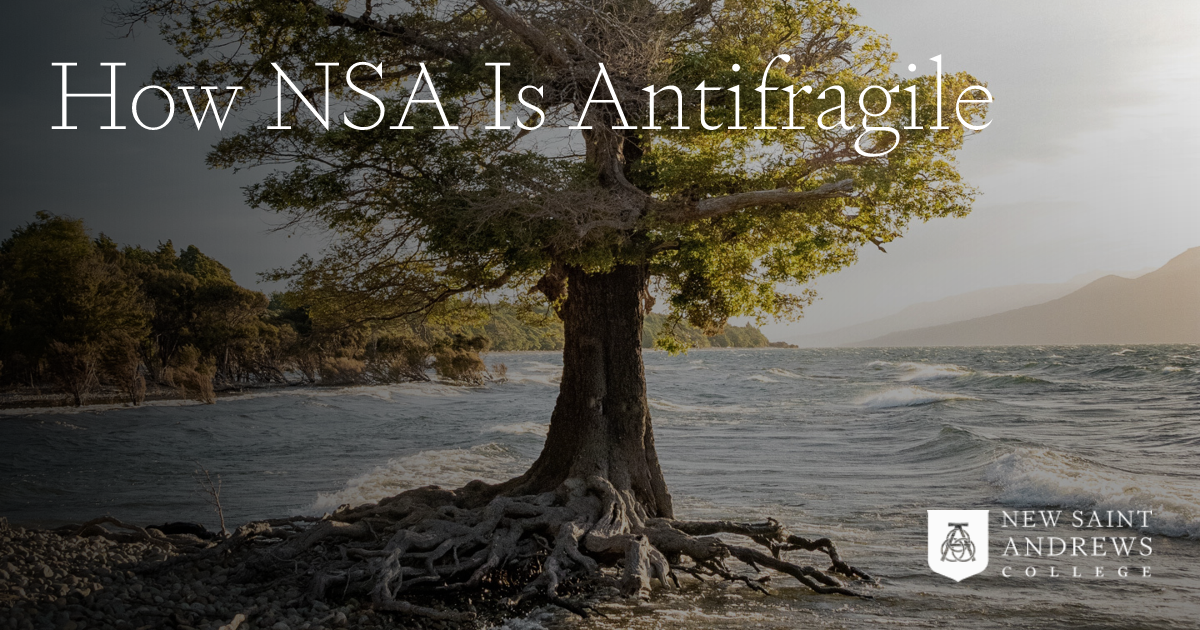 How NSA Is Antifragile | New Saint Andrews College | Classical ...